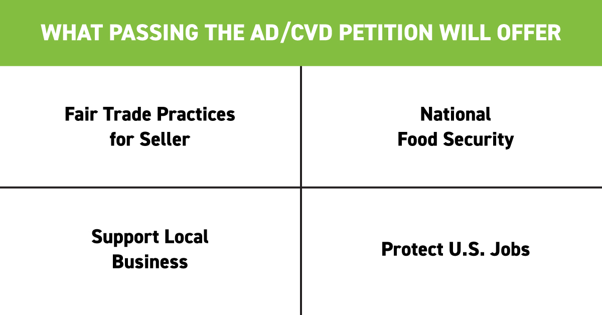 Anti-Dumping Pea Protein FAQs: Everything You Need To Know