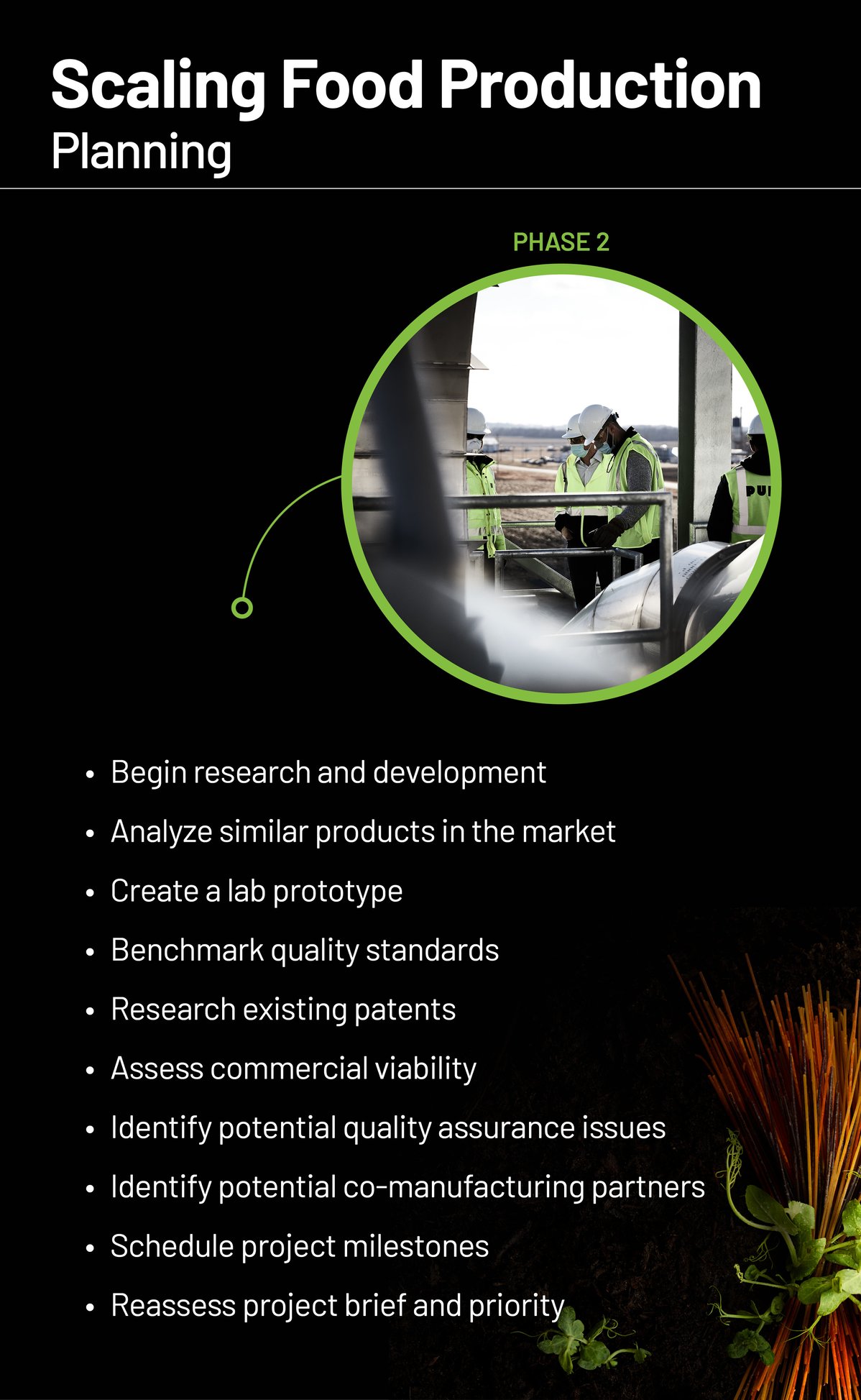 Scaling Food Production: 5 Key Steps for Start-Ups