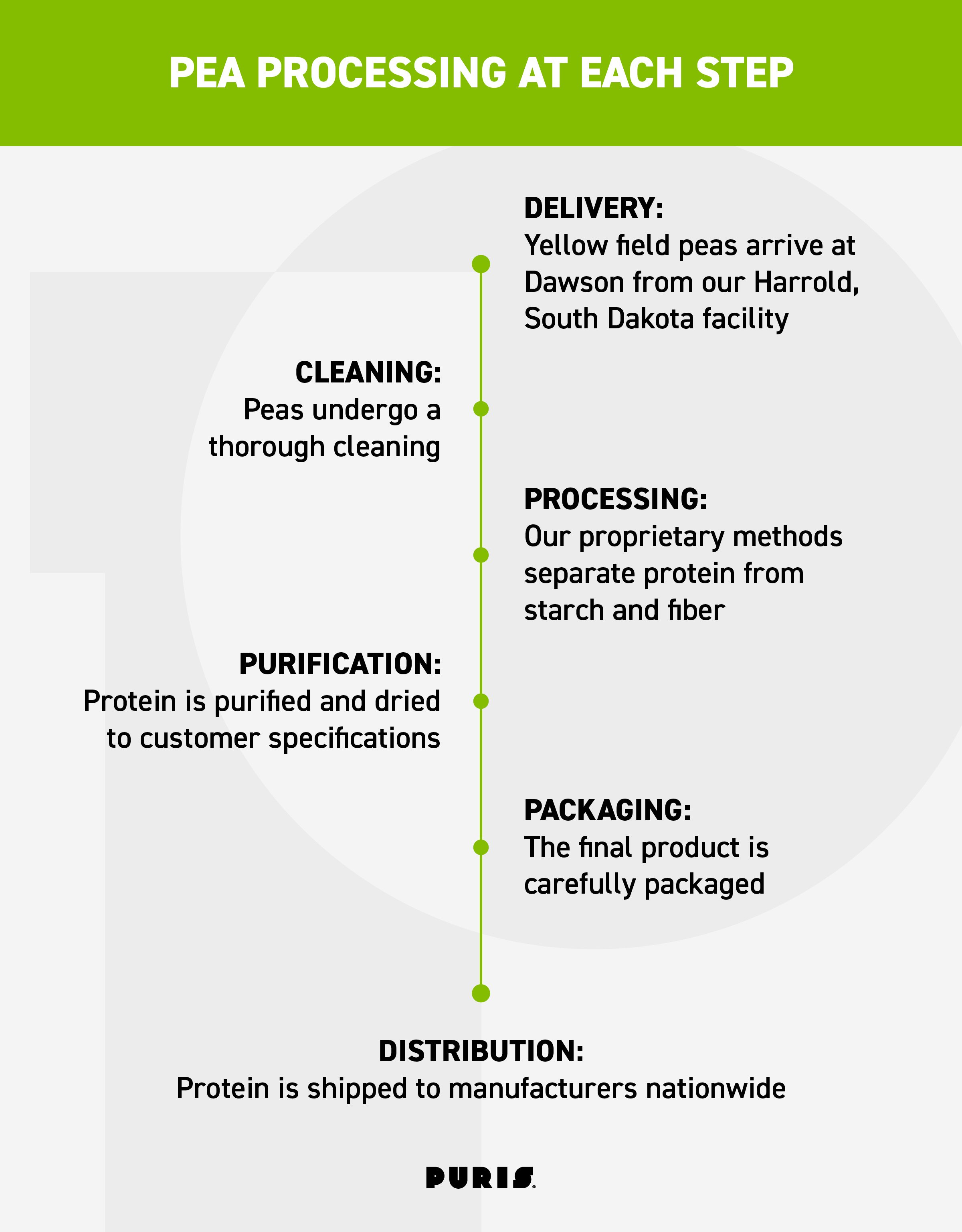 Inside The Largest U.S. Pea Processing Plant
