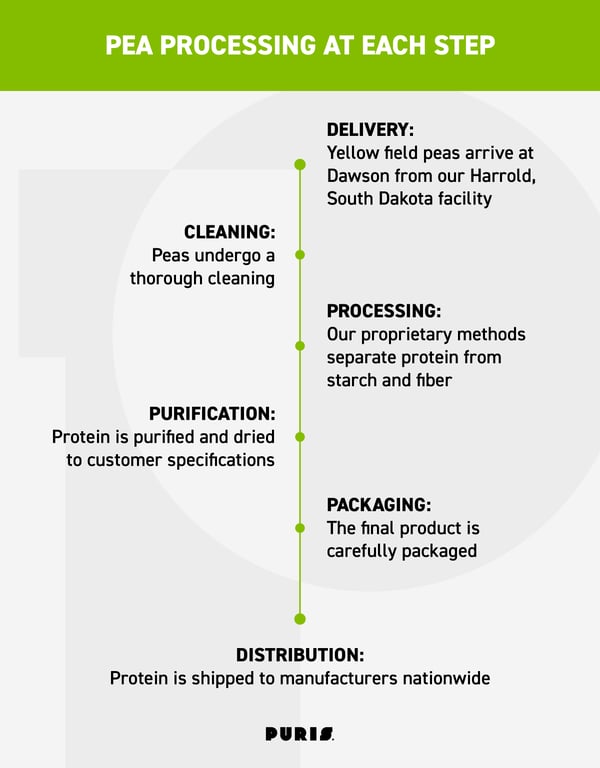 Inside The Largest U.S. Pea Processing Plant